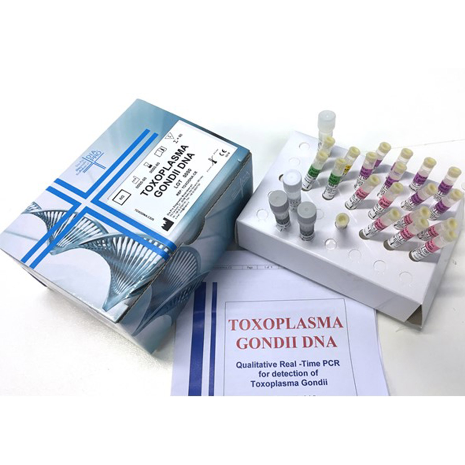 TOXOPLASMA GONDII DNA - 4BShopLab.com